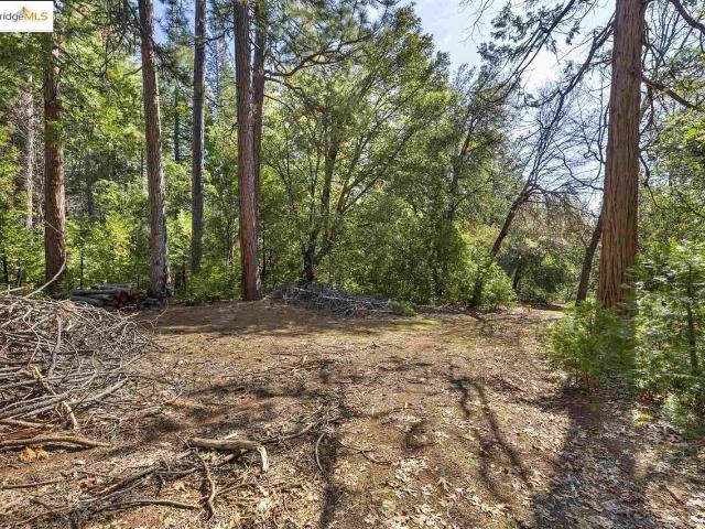 23282 Comstock Ranch