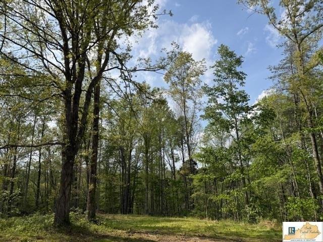 2328 Fisher Ridge Rd, Horse Cave, KY 42749