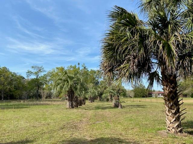 23206 NW 102 Nd Ave, Alachua, FL 32615 | MLS #GC529523 | Compass