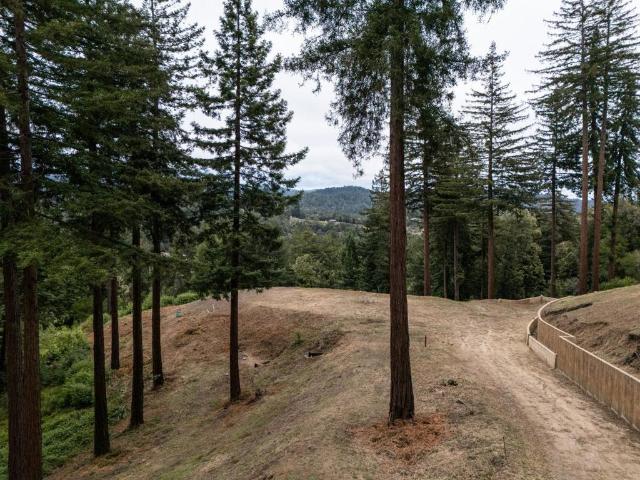 2320 Newell Drive