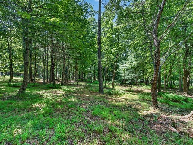 2320 Snow Hill Road