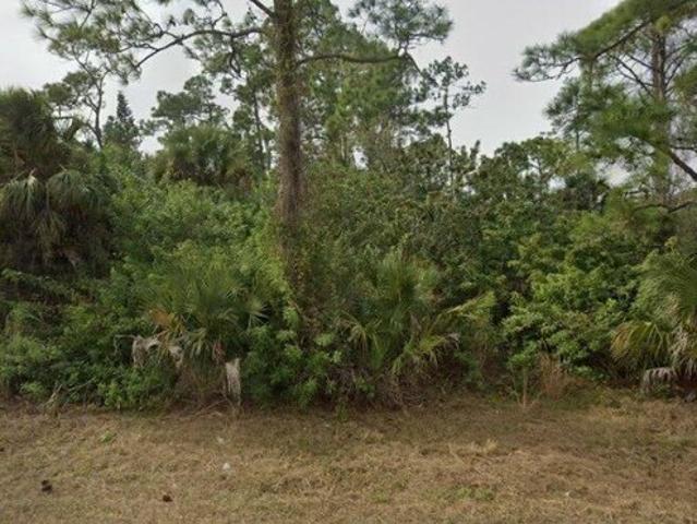 2321 Moore Ave, Alva, FL 33920