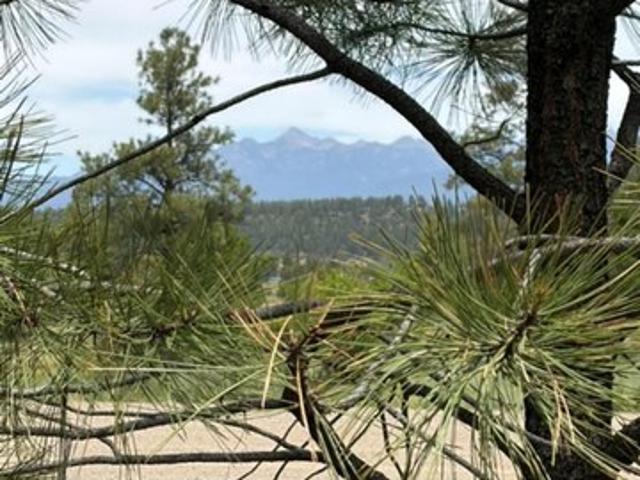 2321 Loma Linda Dr, Pagosa Springs, CO 81147