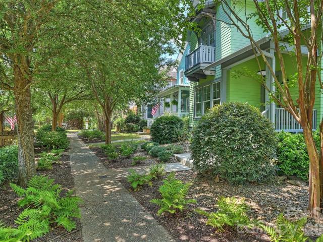232 Coneflower Place