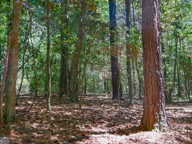 232 Crane Rd, Cochran, GA 31014