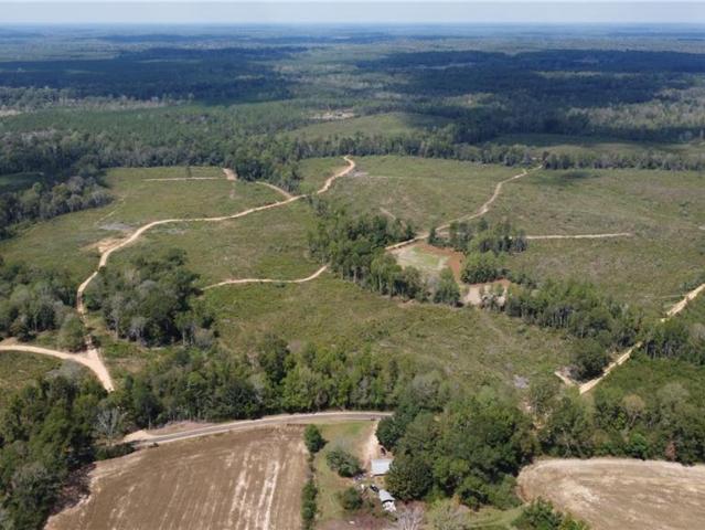 232 Acres Chess Bankston Road