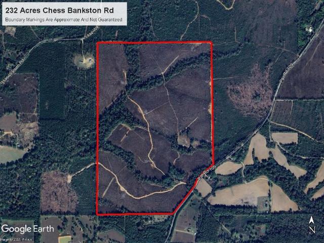232 acres Chess Bankston Rd, Mount Hermon, LA 70450 | MLS #2507
