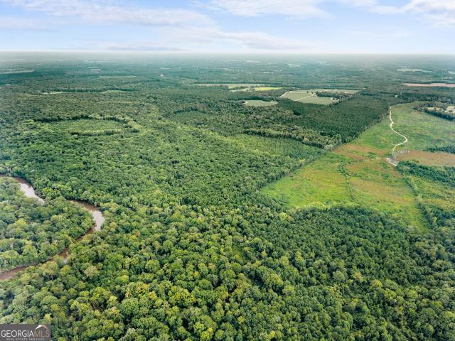 232 ACRES Old River RD N, Statesboro, US, GA