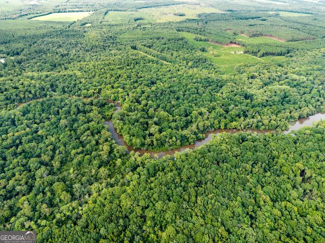 232 acres Old River Rd N, Statesboro, GA 30461 | MLS #10667 | Compass