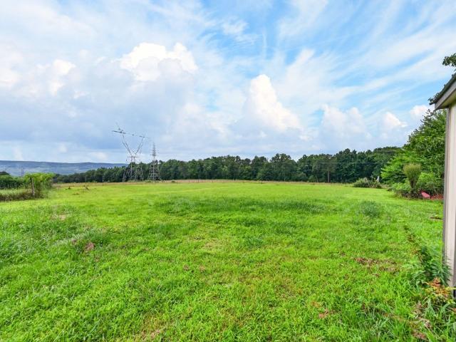 232 Eli Ford Rd