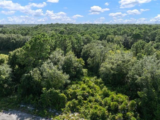 232 Foxhall Cir, Sebring, FL 33876 | MLS #TB8433