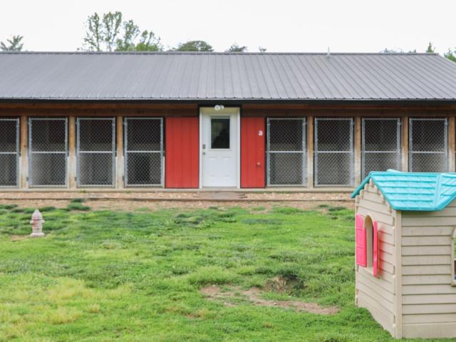 232 mine branch rd