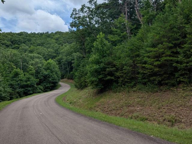 232 Stone Cliff Drive