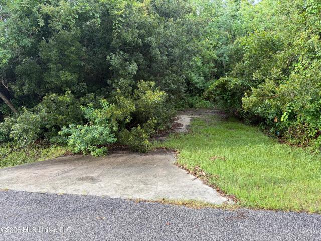 232 Pine Ridge Drive