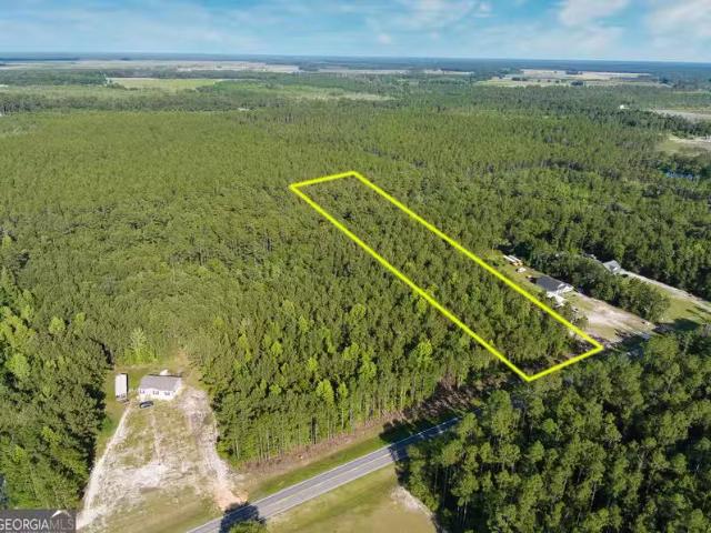 232 River Rd, Lakeland, GA 31635 MLS 10322085