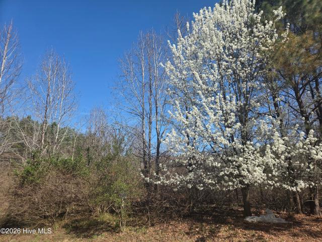 232 Winfall Cir, Edenton, NC 27932 | MLS #100560 | Compass