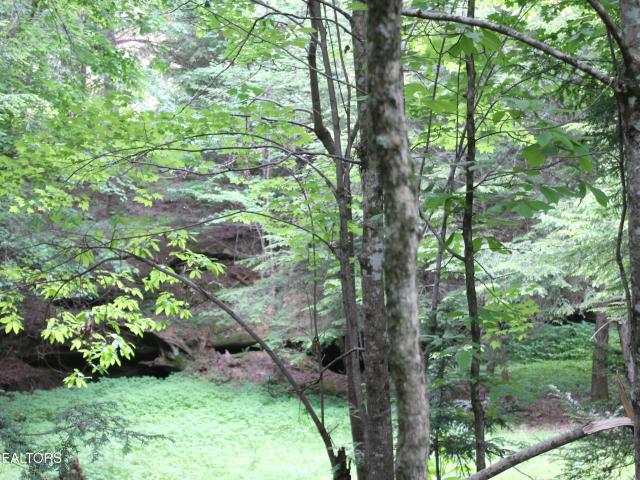 232 Wright Cemetery Rd