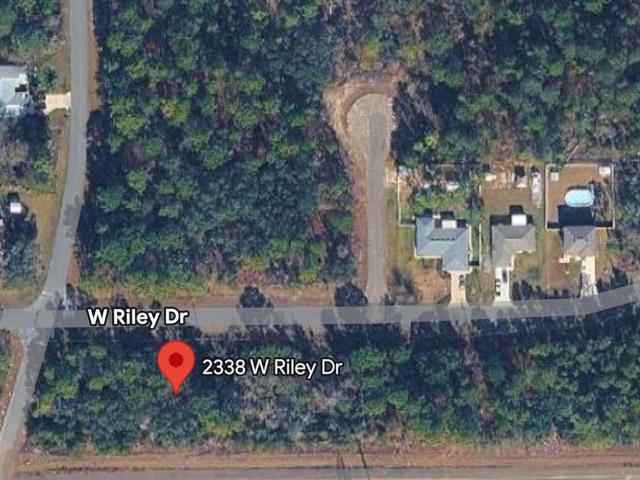 2338 W Riley Dr, Citrus Springs, FL 34434 | MLS #O6374