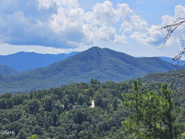 2330 Surries High Top Way, Sevierville, TN 37862