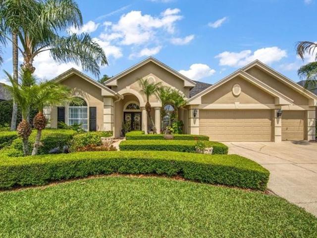 23313 Gracewood Cir, Land O Lakes, FL 34639