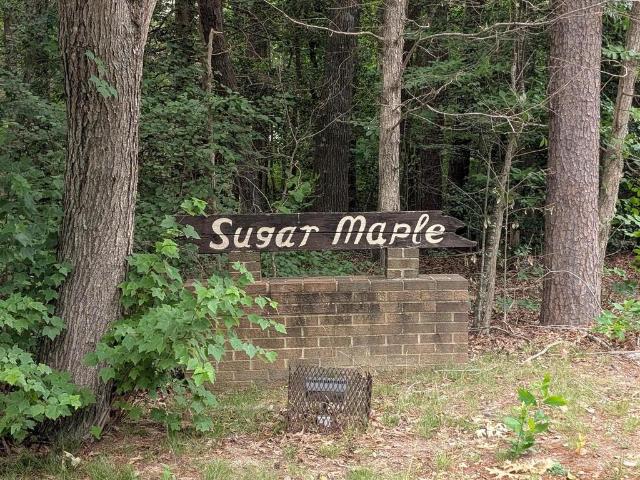 23313 Sugar Maple Court # 6C