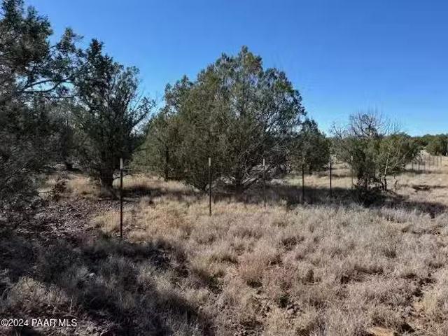 2332 Albert Way, Ash Fork, AZ 86320 MLS 1068766