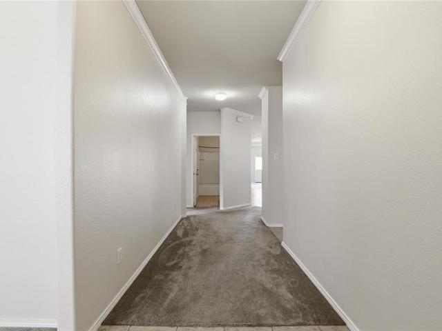 2333 Senepol Way