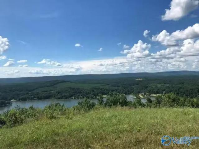 233 COUNTY ROAD 767, CEDAR BLUFF, AL 35959 Vacant Land For Sal.