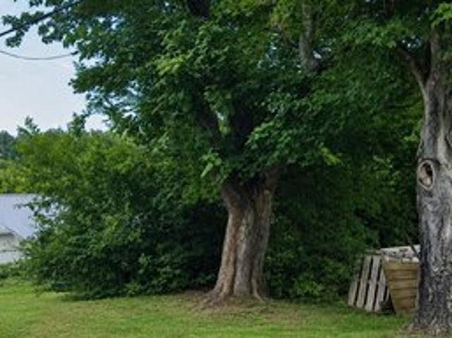 233 Blair St, Morristown, TN 37814