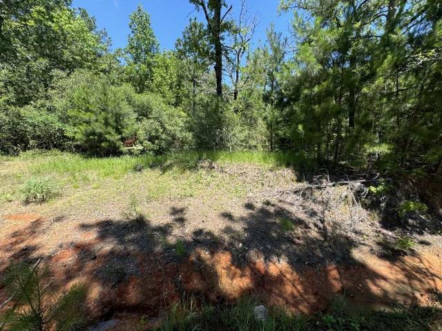 233 Flynn Ln, Trinity, TX 75862 | MLS #15004