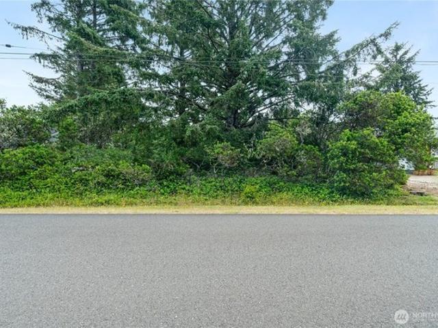 233 S Razor Clam Dr SW Lot 419, Ocean Shores, WA 98569