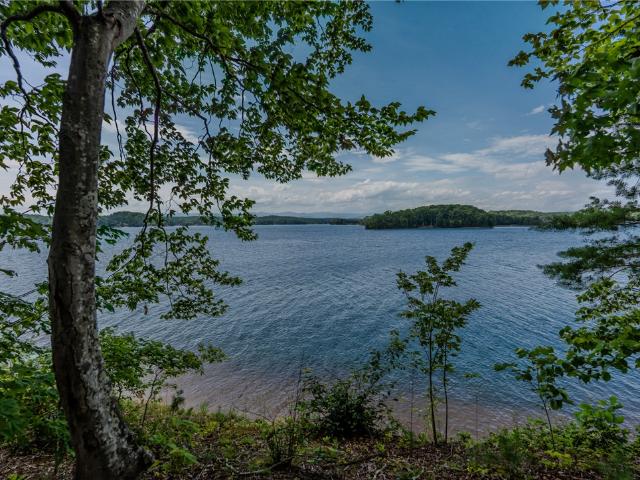 233 Sandy Hollow Court