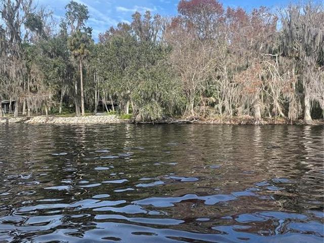 233 Stella Rd, Georgetown, FL 32139 | MLS #V4940 | Compass