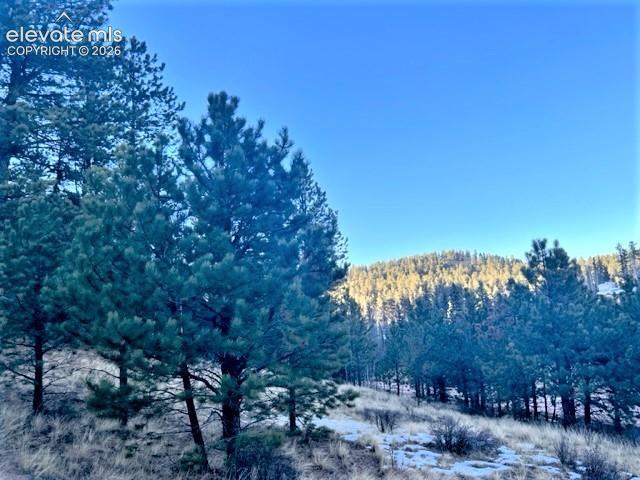 233 Rabbil Creek Drive