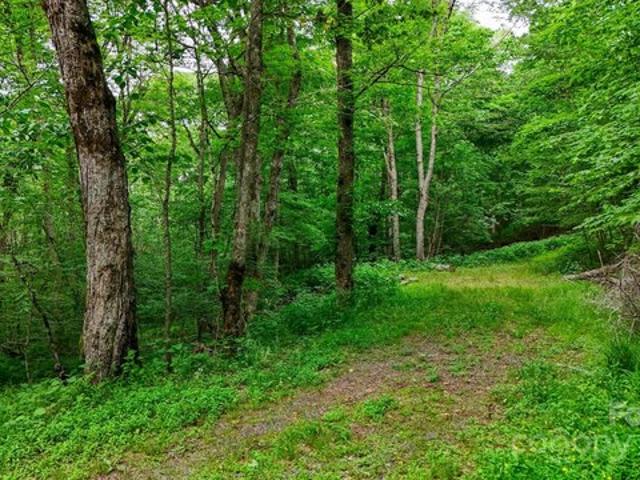 233 Woodland Springs Trl Unit 14, Boone, NC 28607