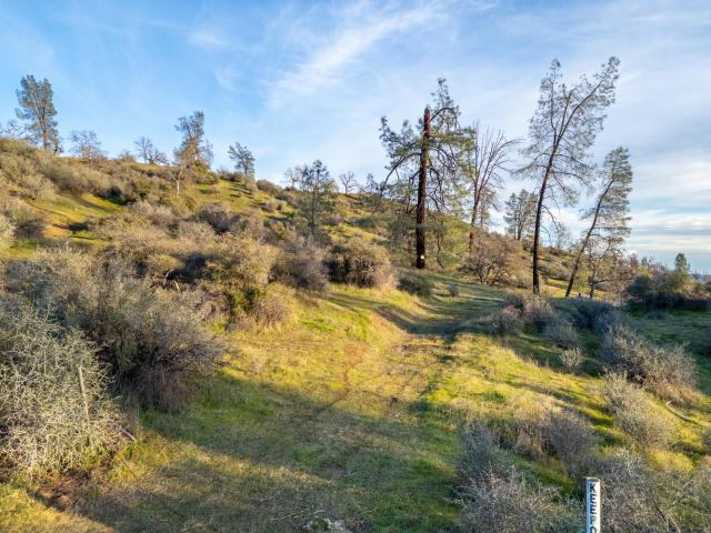 233 Tolowa Road