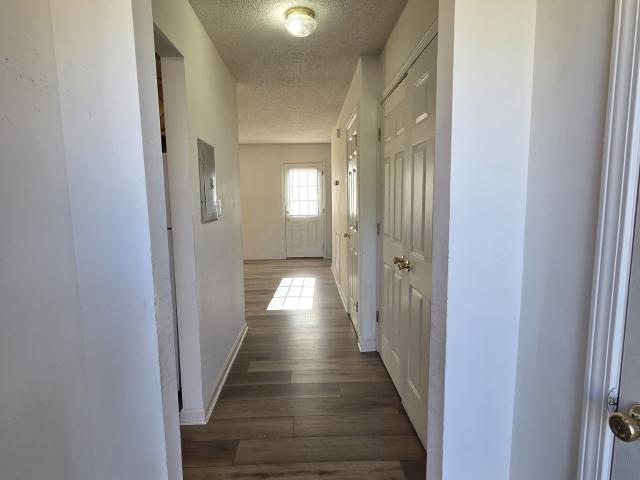 233 Tree Line Dr