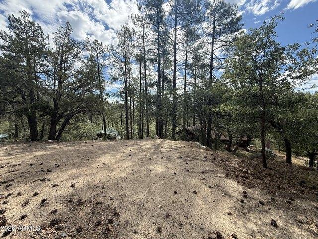 23441 S Van Ln Unit 49, Crown King, AZ 86343