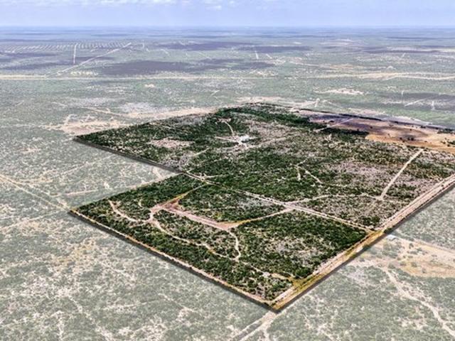 2347 Frontier # 5, Freer, TX 78357