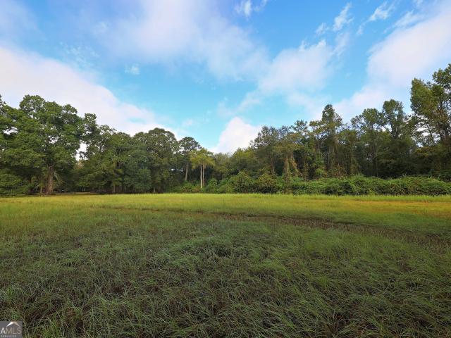 23481 N US Hwy 19 7.46 Acres