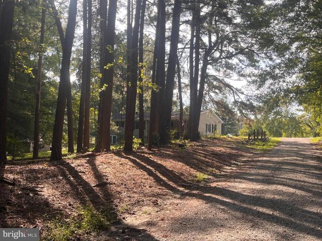 23431 Frye Lane