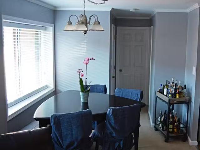 23437919 1521 S George Mason Dr #1