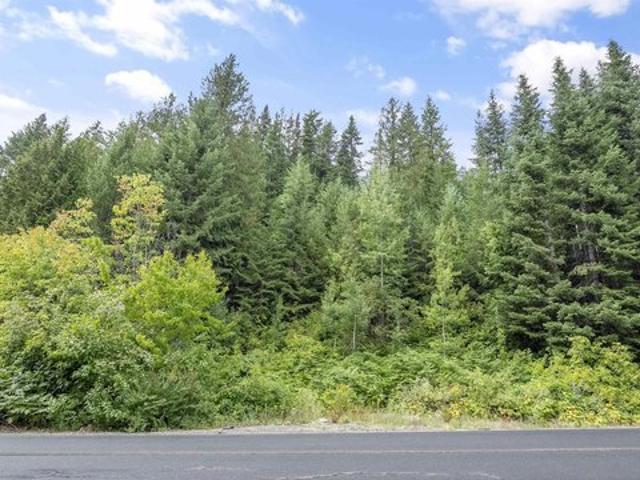 234XX N Mt Spokane Park Dr, Mead, WA 99021