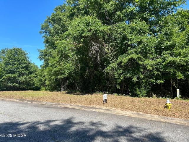 234 Alview Dr, Macon, GA 31206 | MLS #181703 | Compass