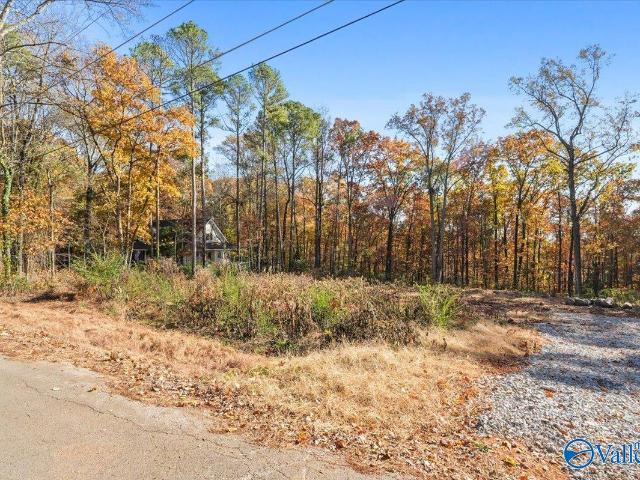 234 Brentwood Lane