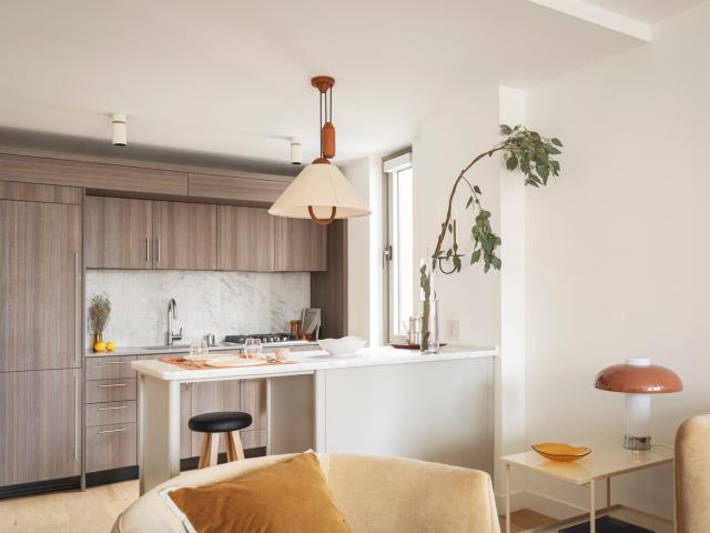 234 E 46TH Street PH2102