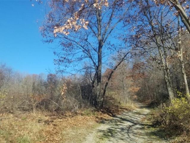234 State Line Rd, Westtown, NY 10998 | MLS #3970