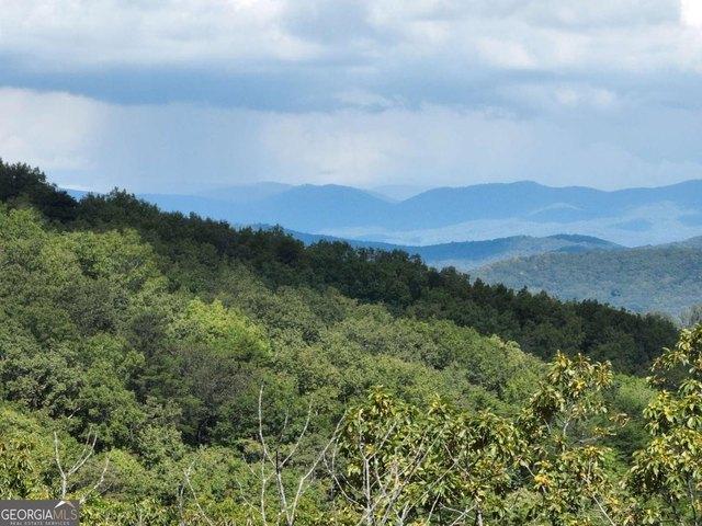 234 Stone Cliff Dr, Ellijay, GA 30536