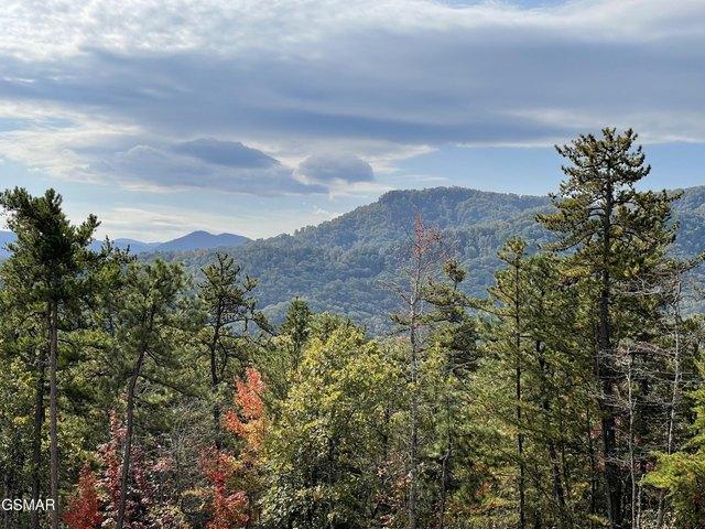 234 Sulpher Springs Way, Sevierville, TN 37862