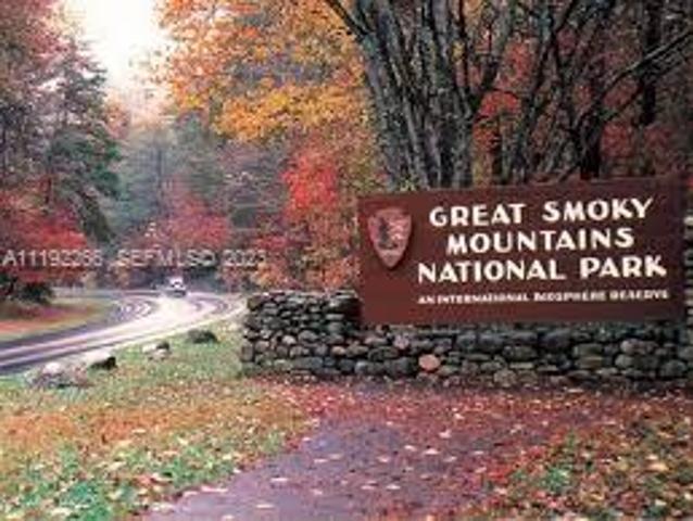 234 Sycamore Ln, Gatlinburg, TN 37738 | MLS #A11192